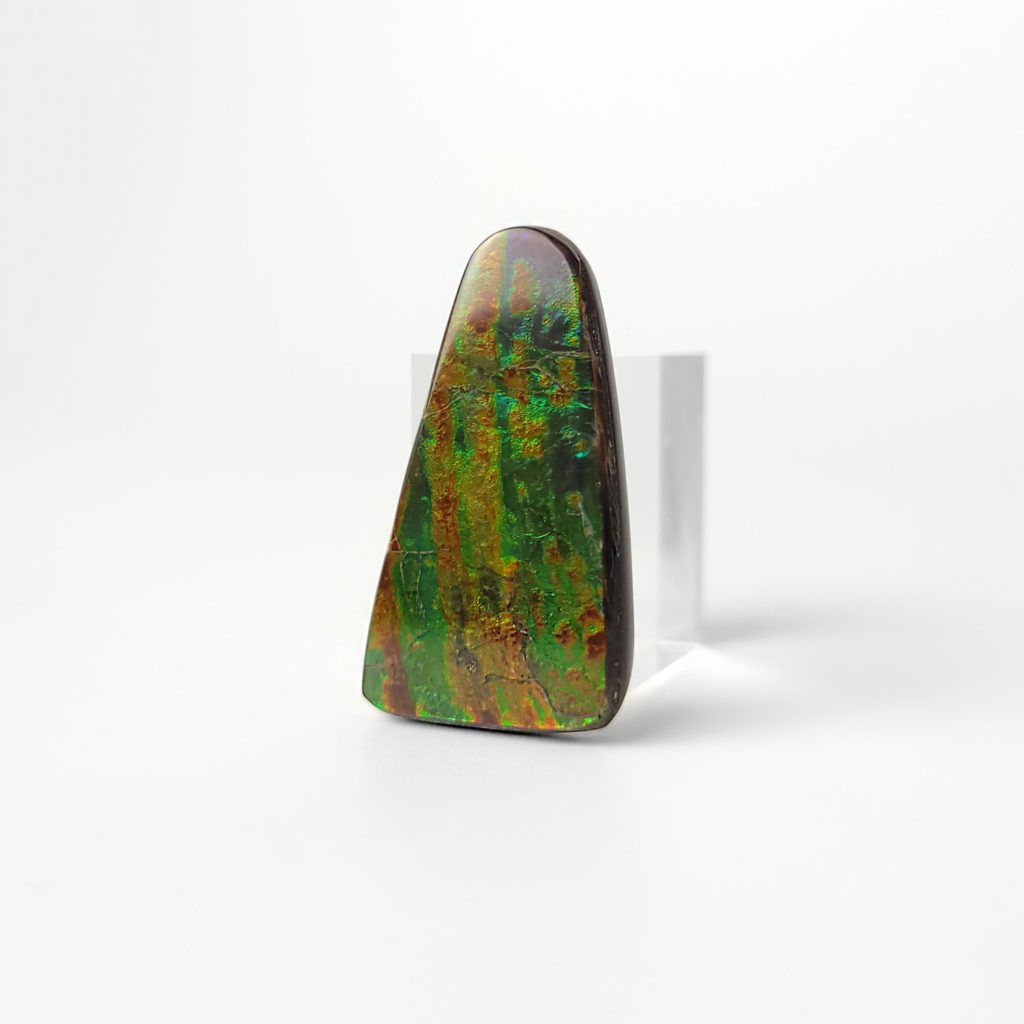 Ammolite Dublette | AOCD0262 - SCHÜTT